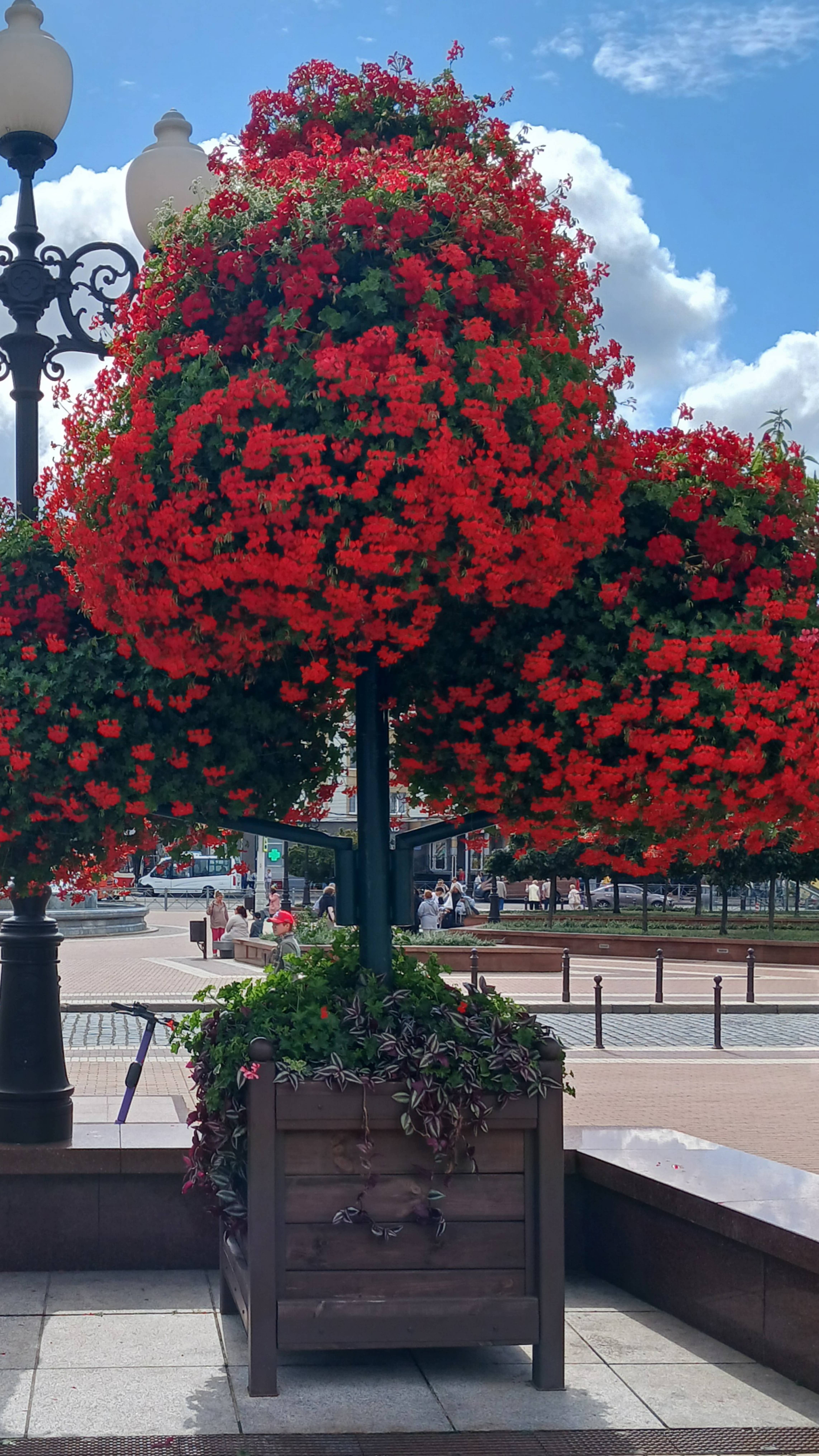 Воспоминания о поездке в Калининград