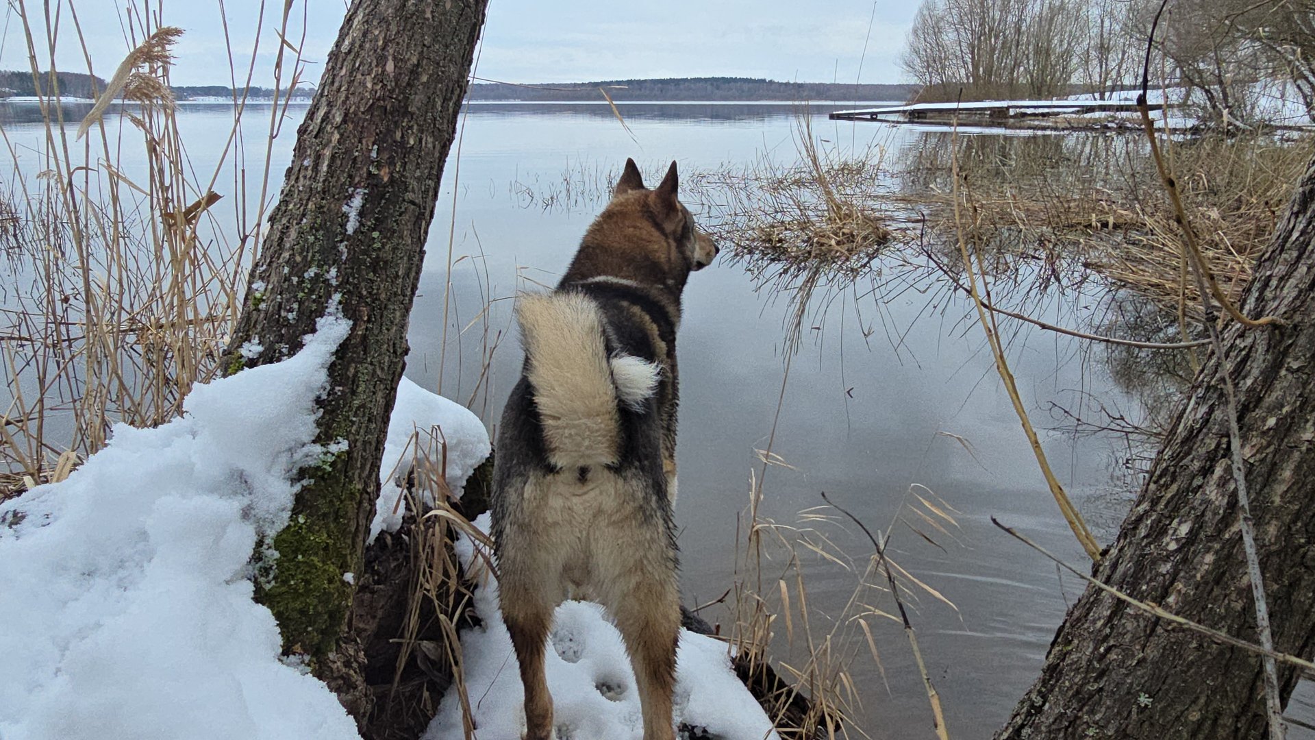 С Каюром на водохранилище