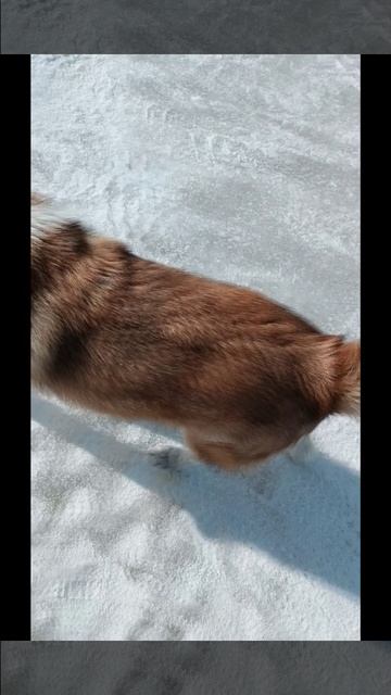 Праздник у вас… Ну-ну!