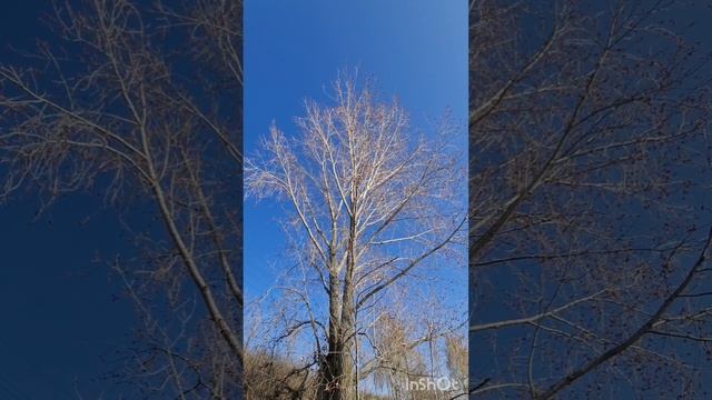 Доброе весеннее здравствуйте)