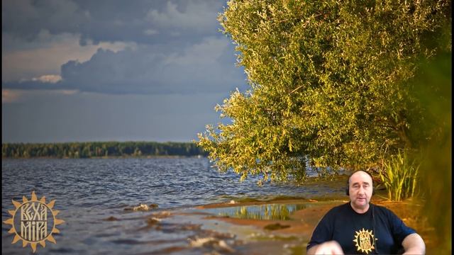 Гады нагадили