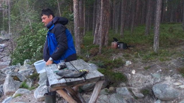 Карельские окушки