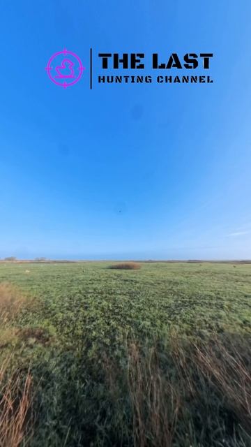 ГУСЬ ДОБЫТ САРАТОВ 2025