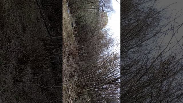 село чёрное часть 3