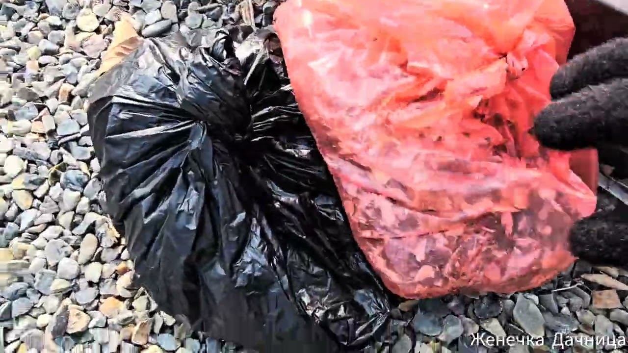 Огород зимой. Теплица. Дача в СНТ безснежная 16.02.2025