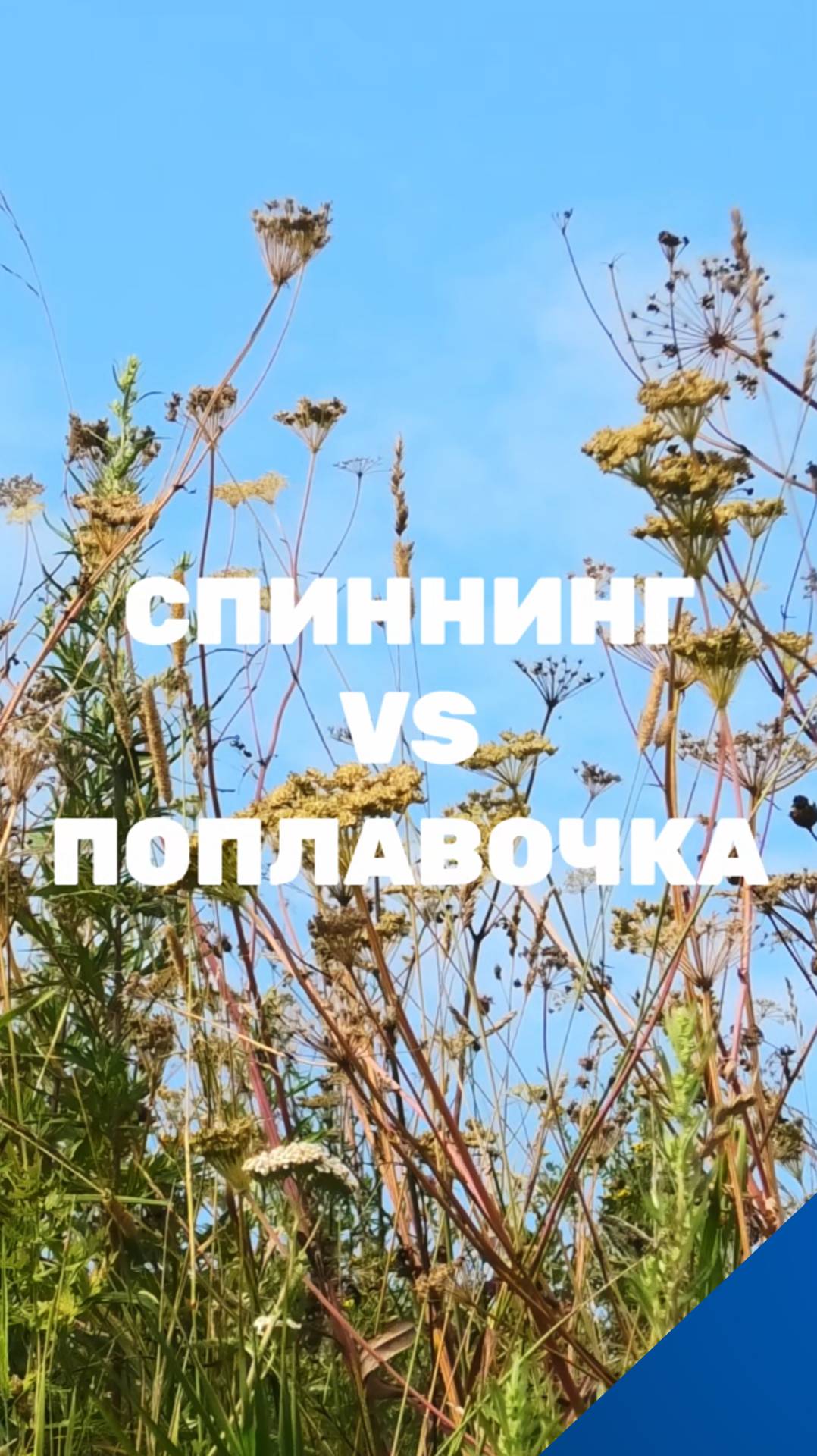 Спиннинг vs Поплавочка / А что выбираете вы?