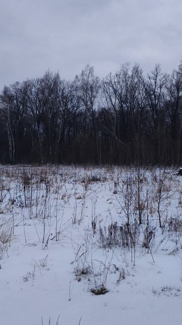 Прекрасное, весенне утро. Красиво поют птицы