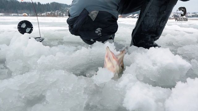 Рыбалка в Пермском крае. 6 сезон. Анонс. Канал Рыболов