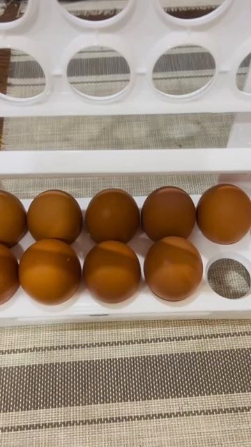 Обзор нужной покупочки