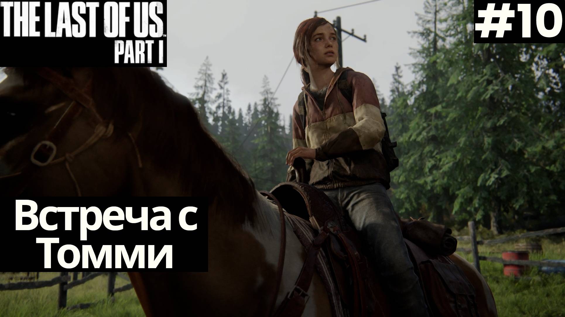The LAST of US Part 1 [Remake ПК] ➤ Прохождение #10 ➤ Встреча с Томми