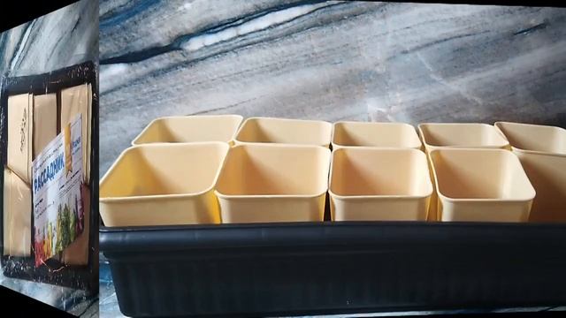 🌱Весне - дорогу!🌱Пикируем перчики🌱Советы непрофессионала🌱