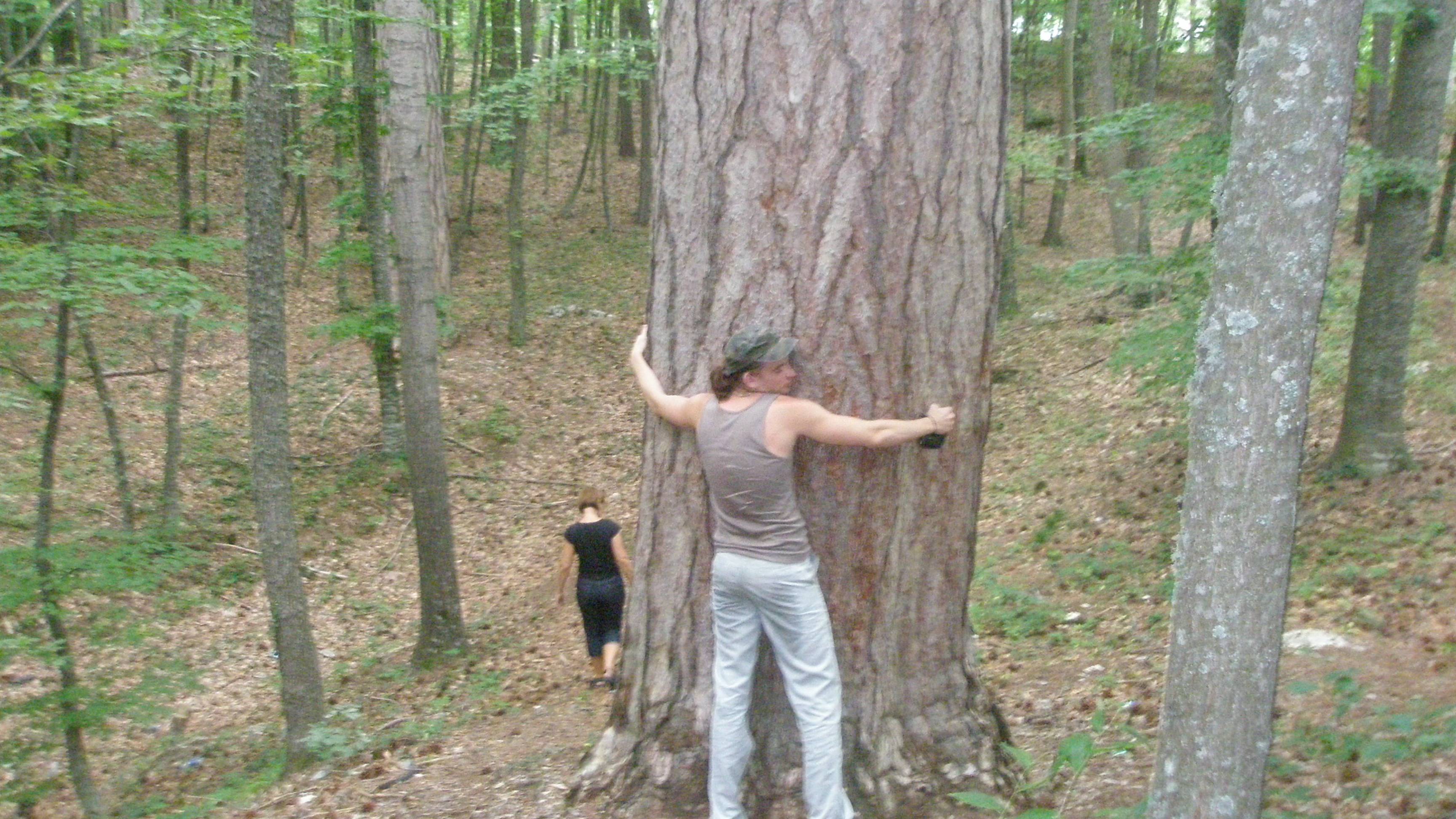 Балаклава _ пляж инжир