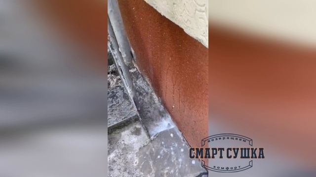 Перекись выжигает мох