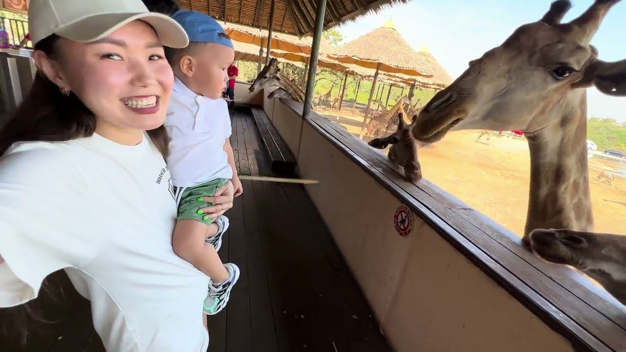 Зимовка 2023 | Часть 6. Пхукет-Бангкок. Avani Plus Riverside Bangkok Hotel. Safari World Bangkok.