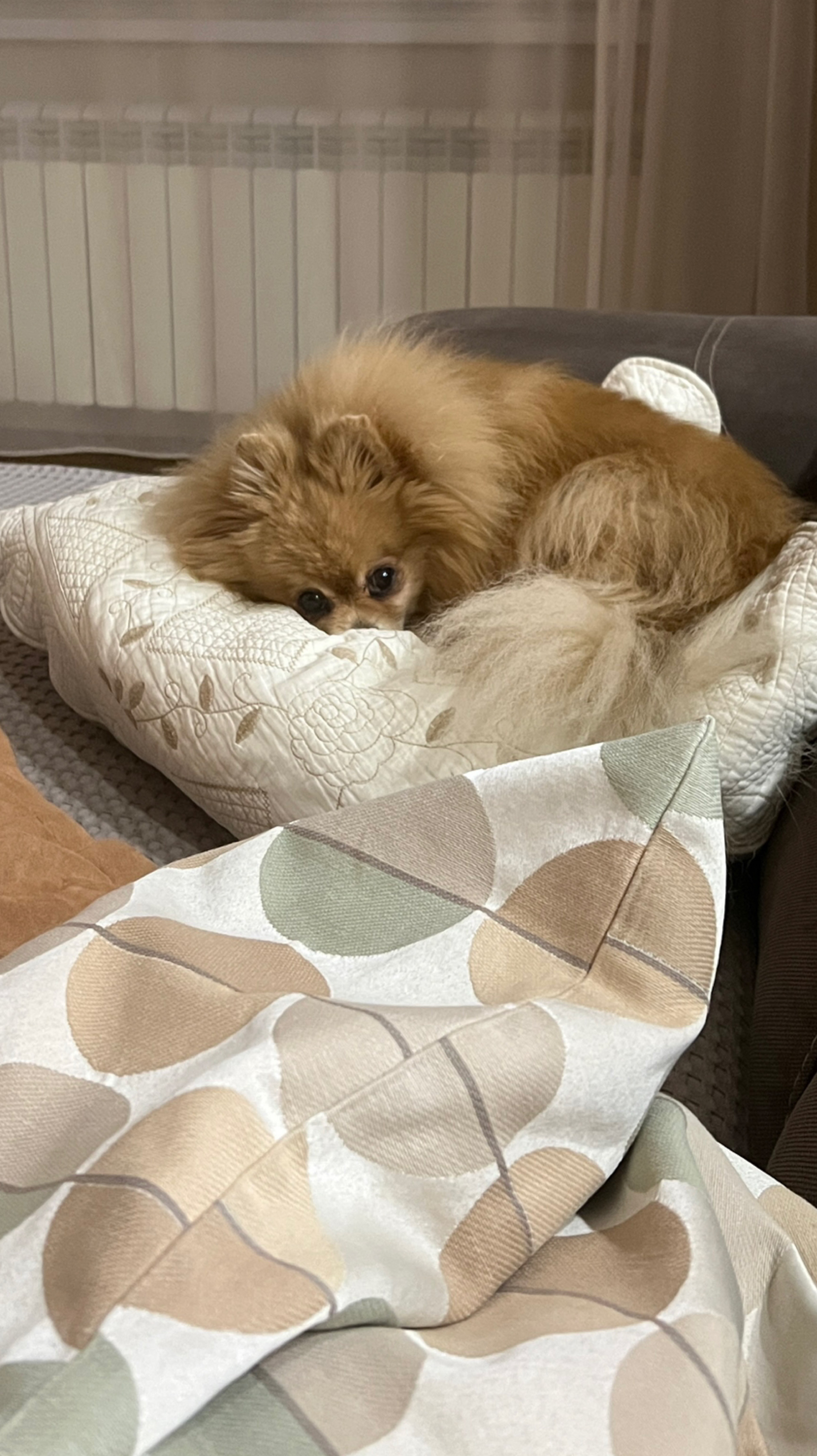 О чем мы с Басей говорим перед сном?