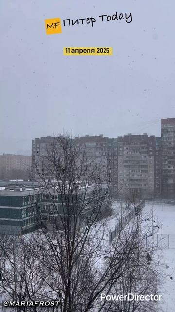 Апрель в Питере 2025