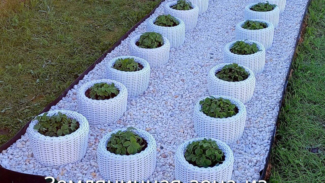 Земляничная зона из бордюрной ленты и ротанга🥰