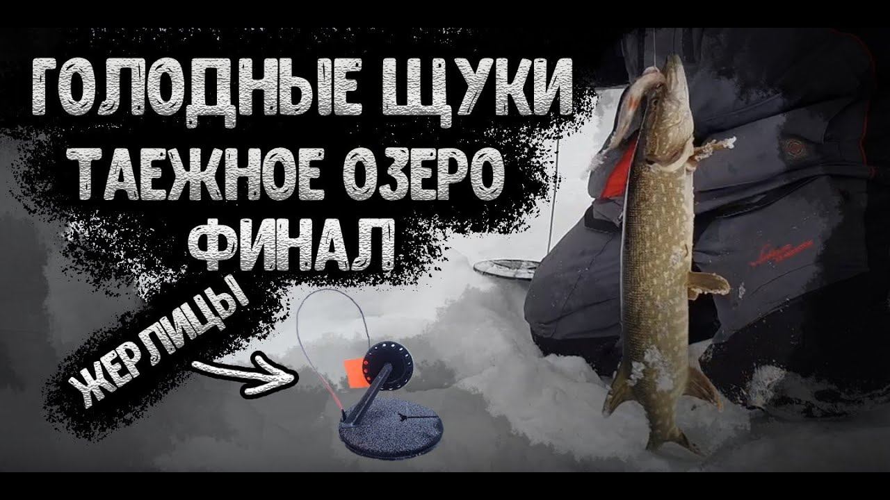 Рыбалка на Диком Таёжном Озере часть 4. Финал! Проверяем жерлицы и снимаем щук!  Рыбалка 2024!!!