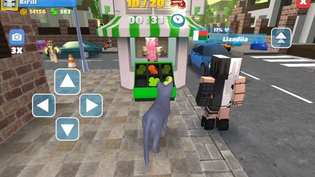 Я выполняю челлендж 24 часа я кот