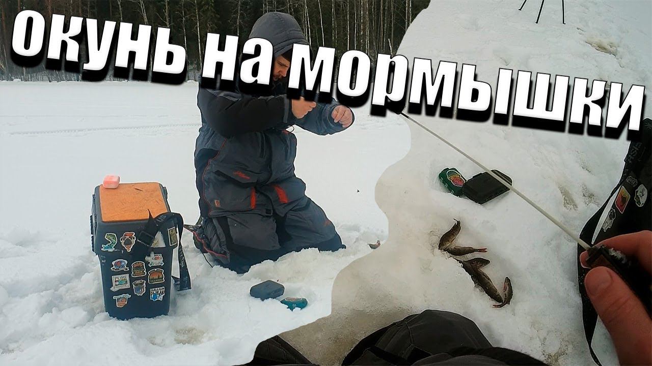 Половили берегового окуня на озере! рыбалка в феврале 2025!