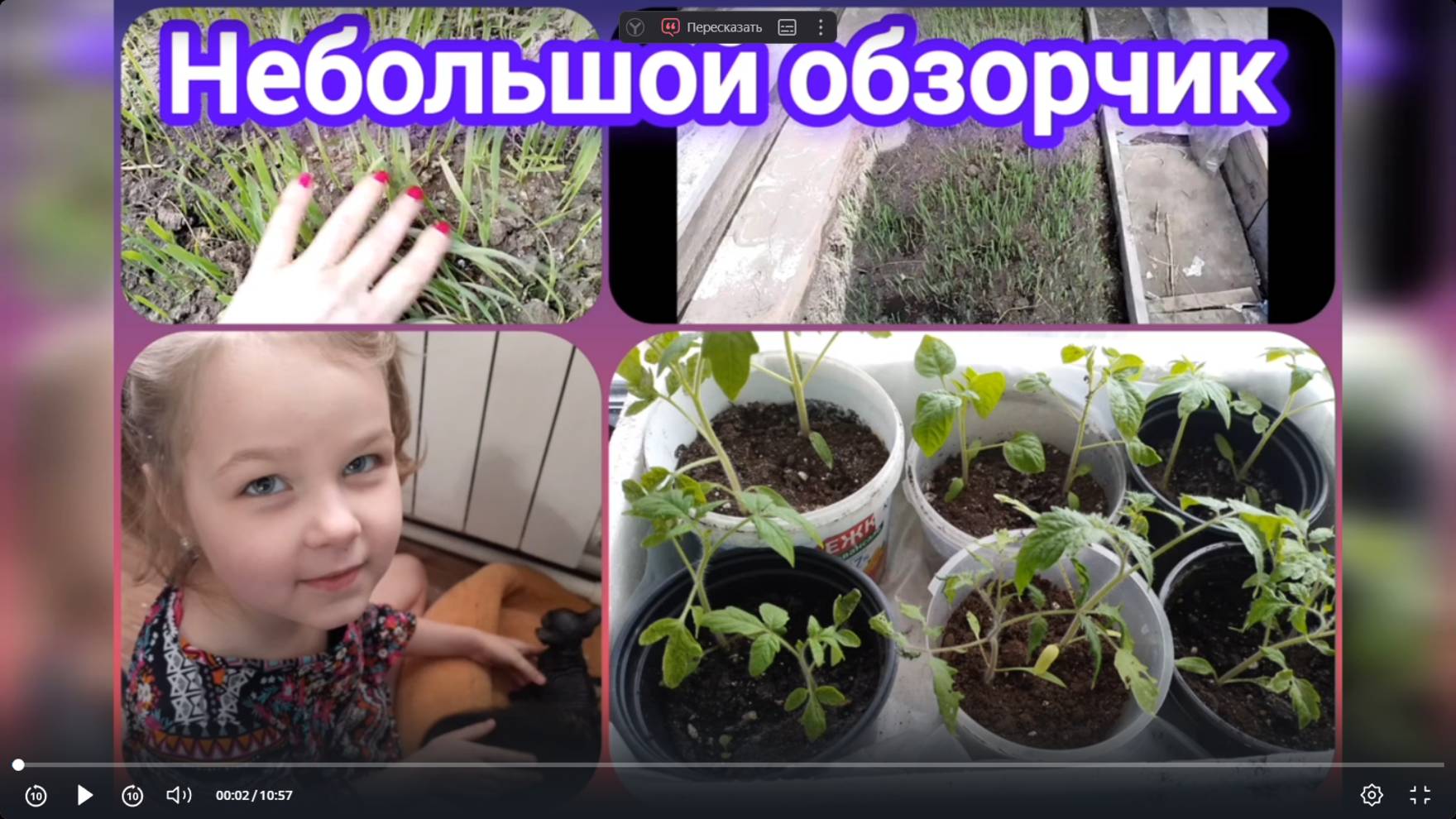 Небольшой обзорчик. Теплица, проблемы с рассадой, котики! Влог.