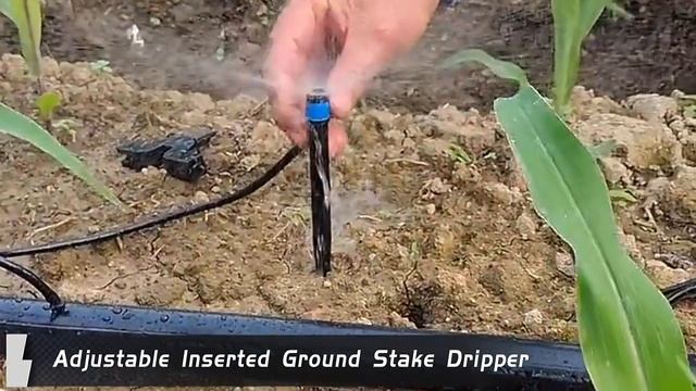 Разбрызгиватель полевой.