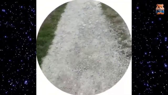 Подборка самых смешных роликов 3