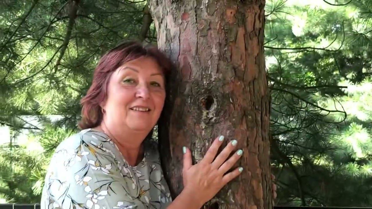 Цветники и огороды Толгского женского монастыря