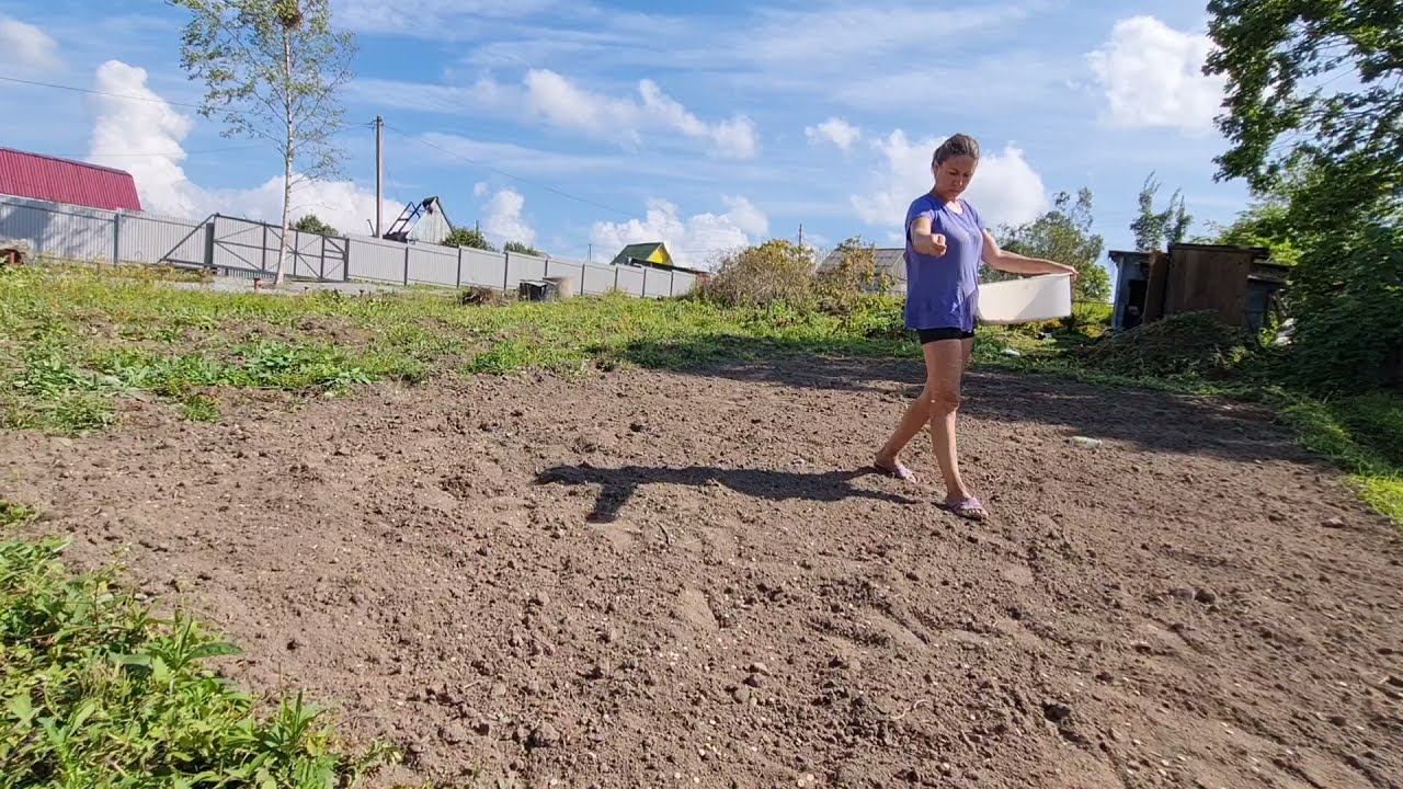ДАЧА , ОГОРОД , НАВОЖУ ПОРЯДОК 11.09.2021