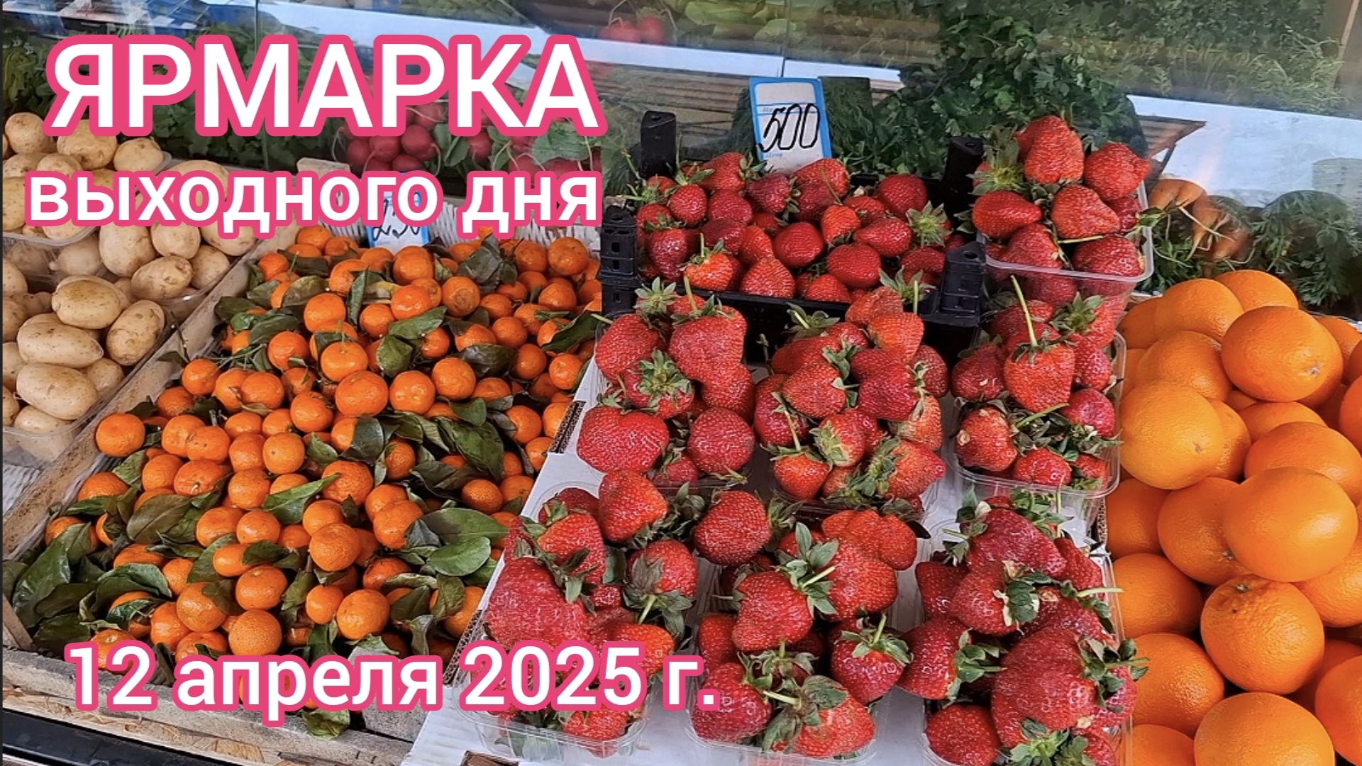 Краснодар - Ярмарка выходного дня на Репина (суббота и воскресенье) - обзор цен - 12 апреля 2025 г.