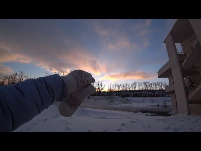 Ищем лисьи следы. Владивосток 2021. Остров Русский