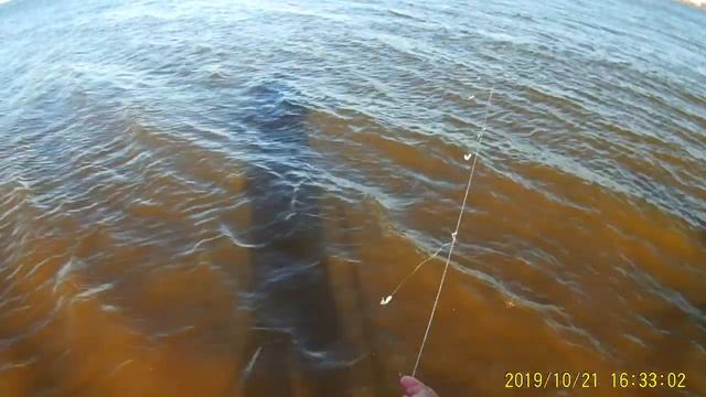 Осенняя рыбалка на сига 21.10.2019