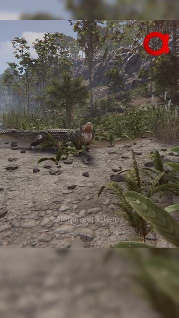 Джунгли уже в Раст