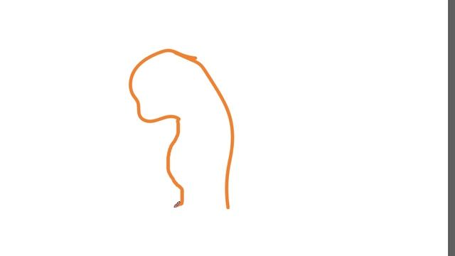 Рисуем милую белочку часть 4