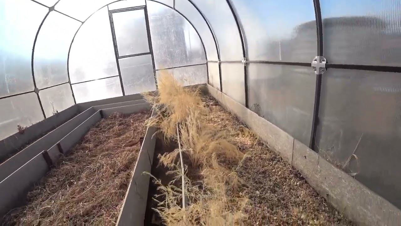 ДАЧА. 6.03.2024. ВЛАДИВОСТОК