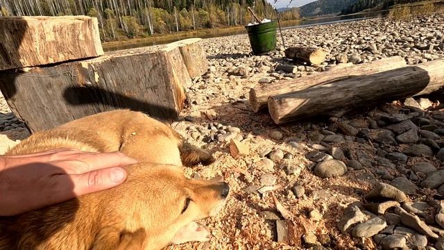 Газ 3308 04 10 2024 второй день Томь