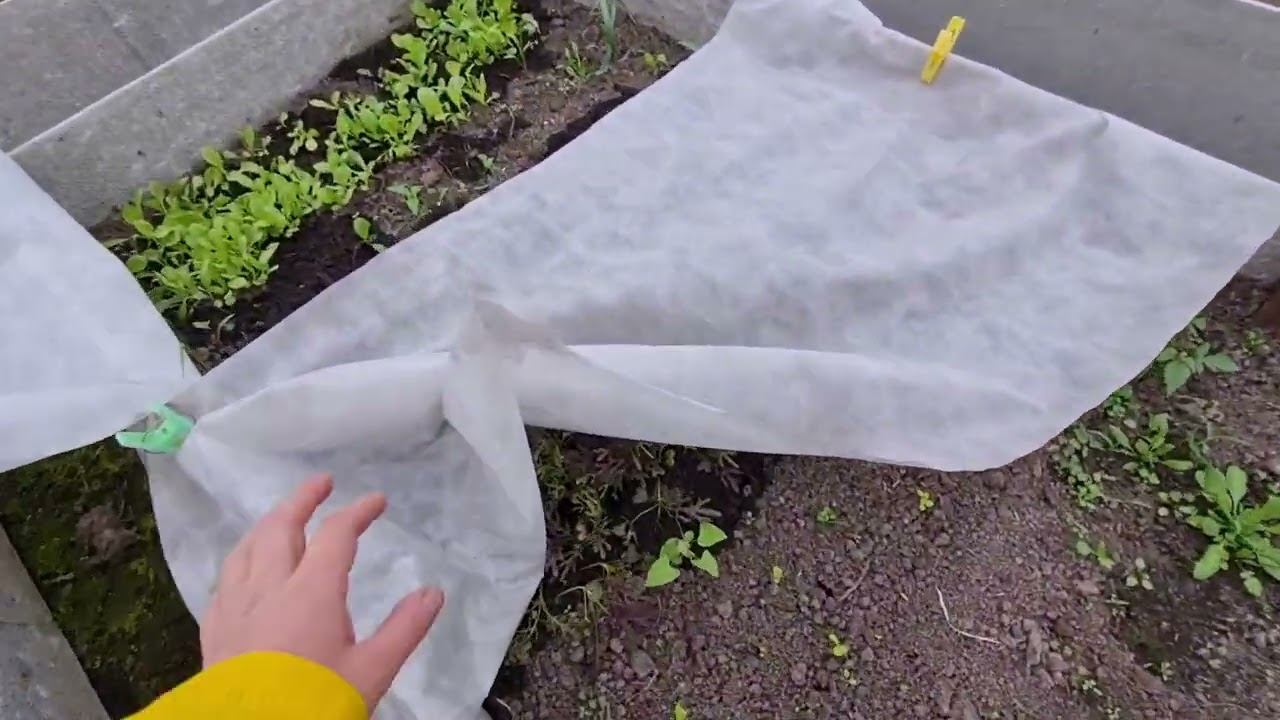 НАЧАЛИ СТРОИТЬ САРАЙ.  ВЕСНА  29.04.2023 ПРИМОРСКИЙ КРАЙ