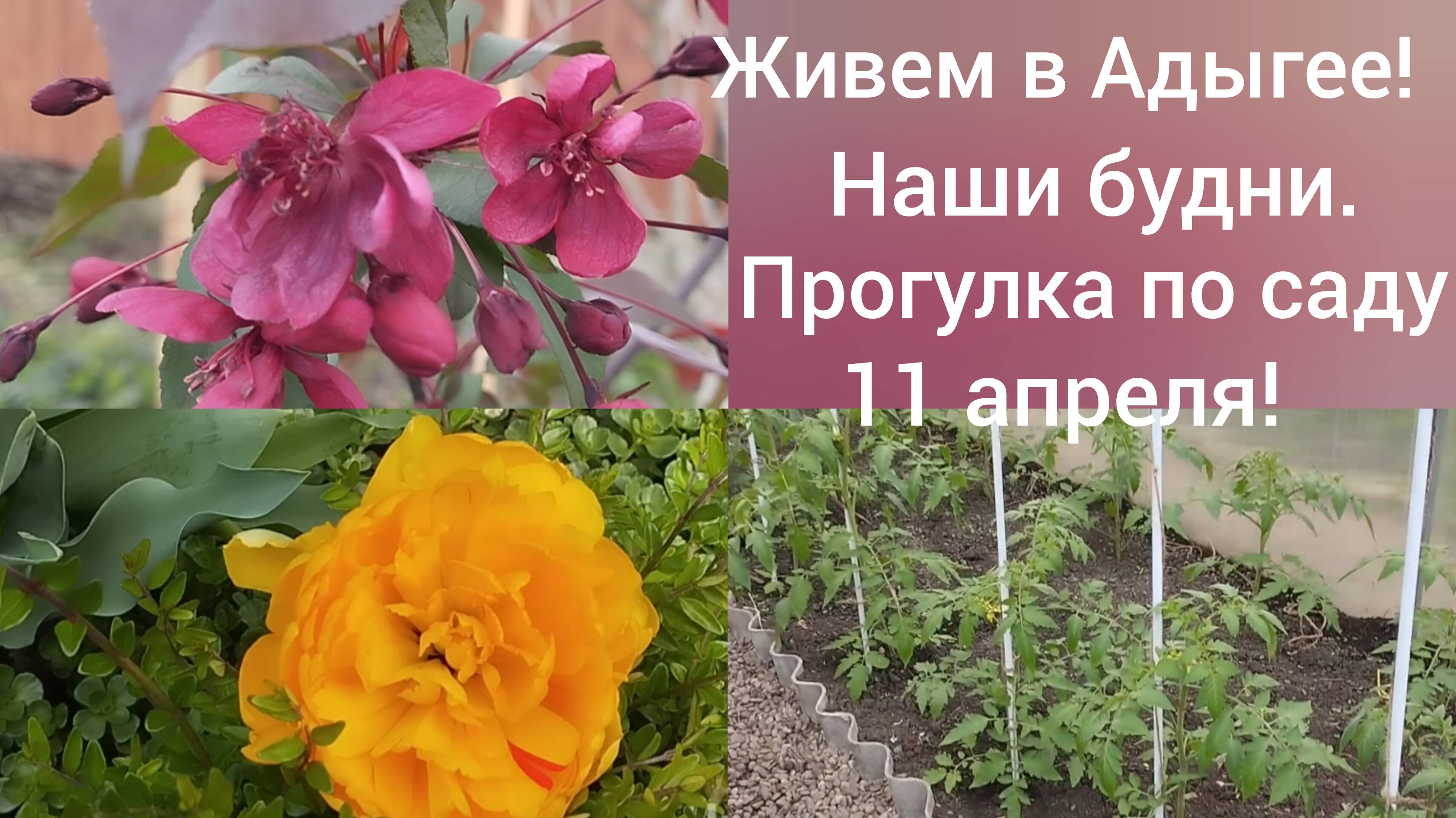 первые блюда