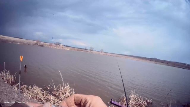 Немного половил хорошую уклейку на поплавок🎣 Насадка тесто, прикорм самодельный. Рыбалкой доволен👍