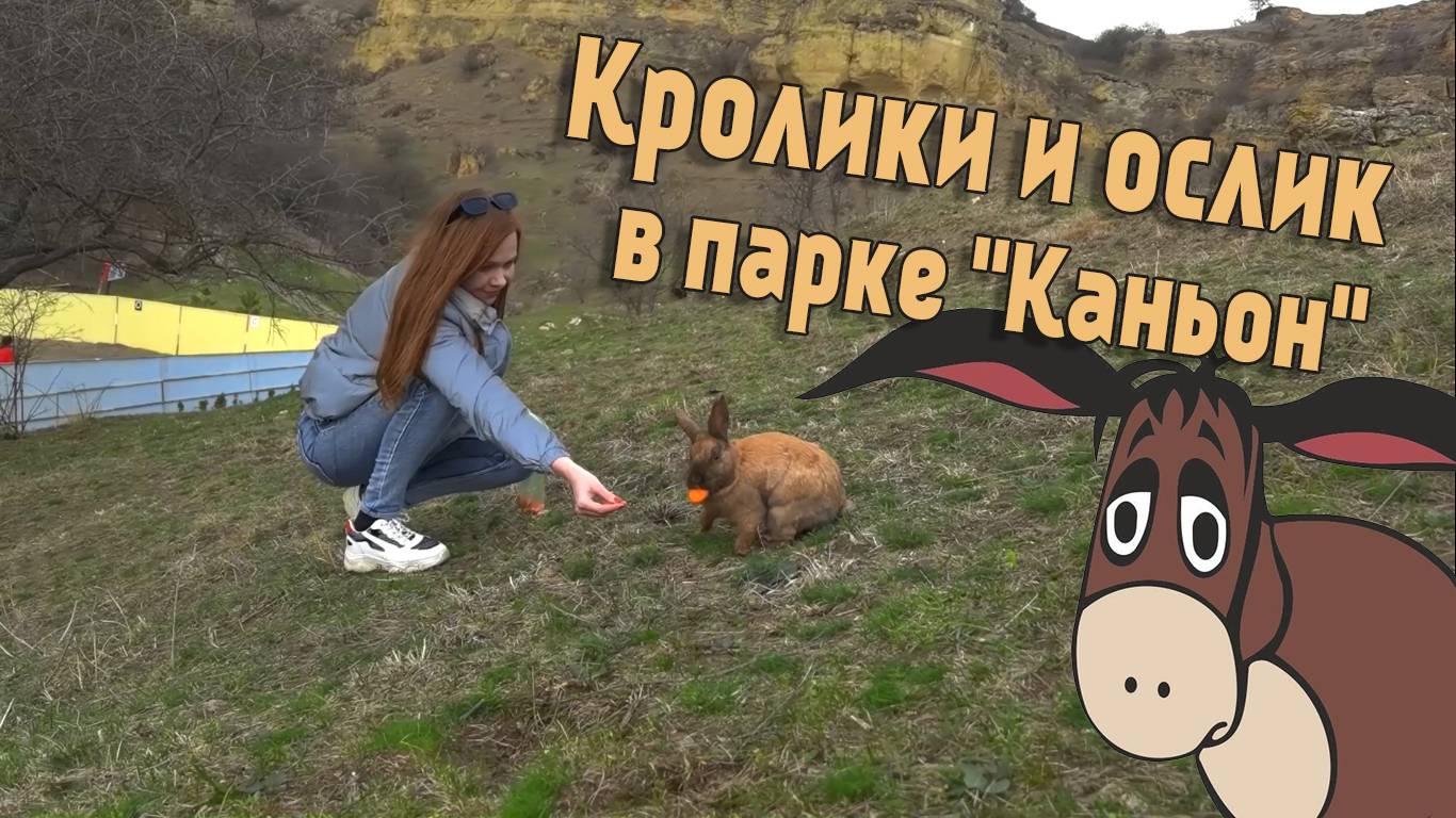 КРОЛИКИ В ПАРКЕ "КАНЬОН" В КИСЛОВОДСКЕ