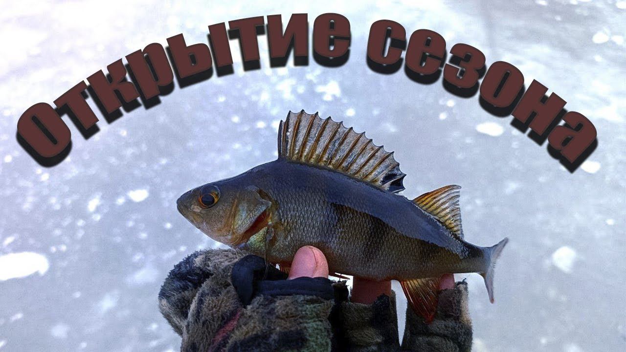 Открытие сезона подлёдной ловли от 23.11.24
