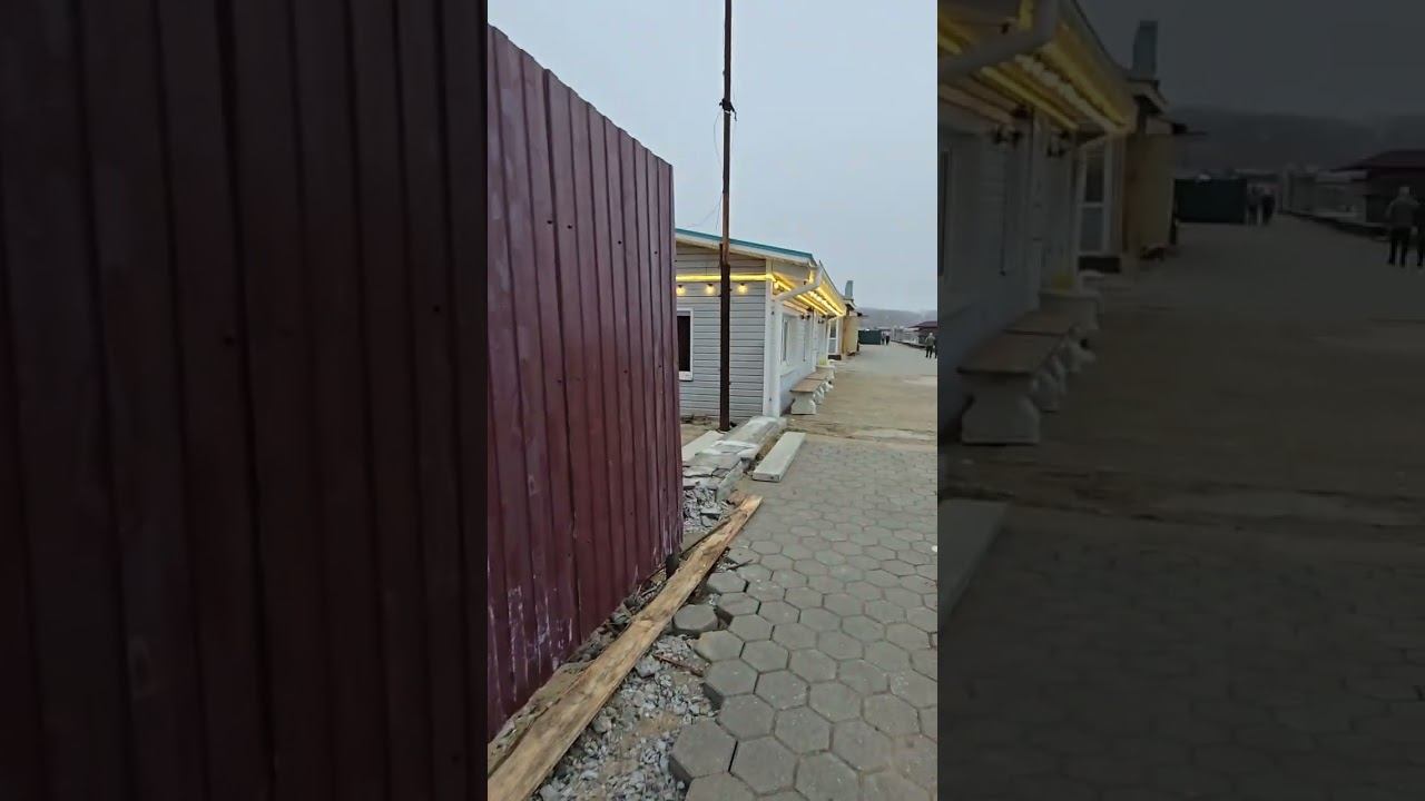 11 ноября 2024 г.