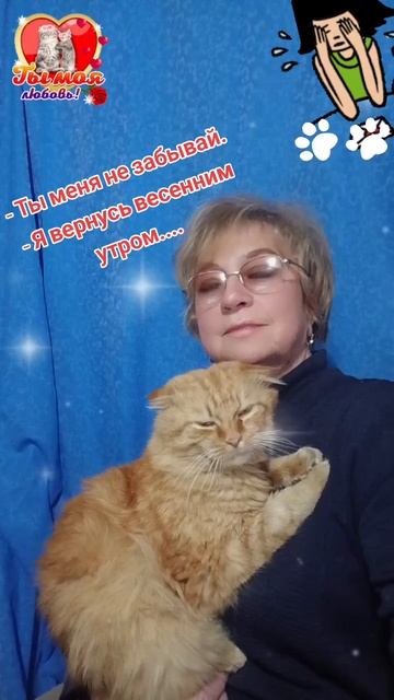 Любимцы, наши питомцы...