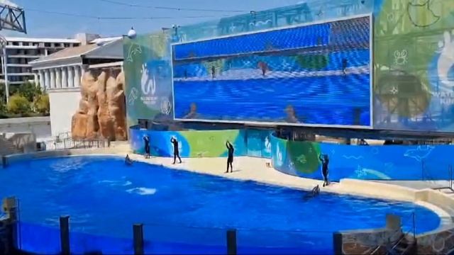 Турция, Гейнюк. Отель OMORFI GARDEN RESORT__ Аквапарк в Белеке.