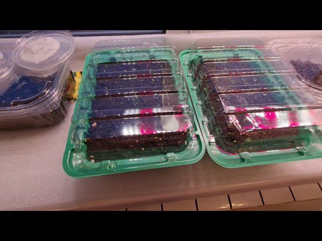 ПОДСВЕТКА ДЛЯ РАССАДЫ, САМЫЙ ПРОСТОЙ СПОСОБ