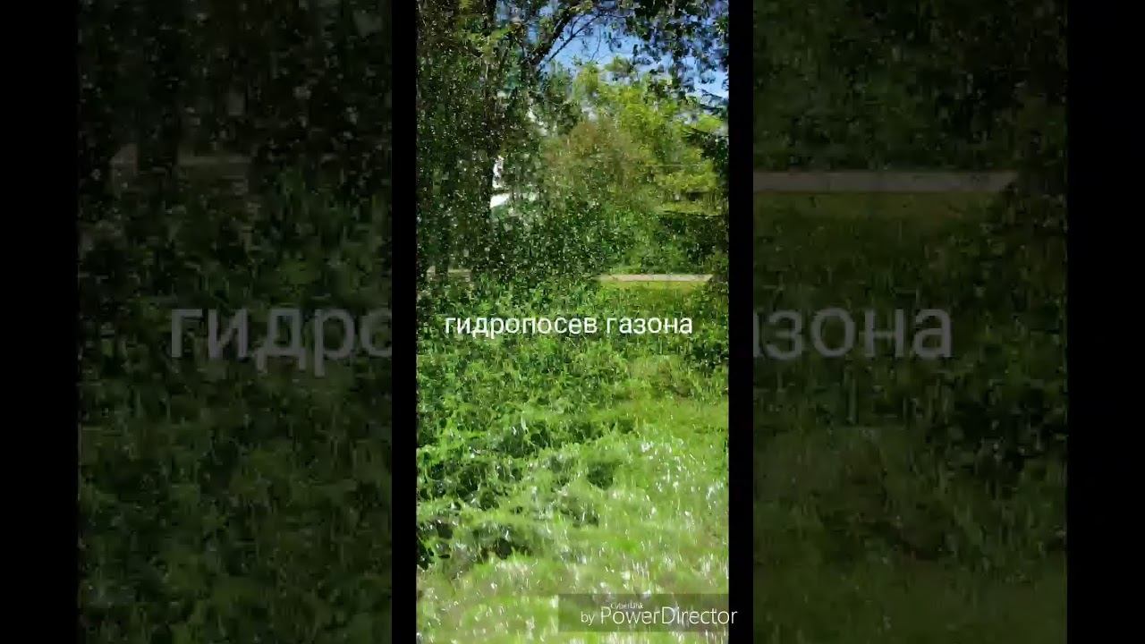 Гидропосев газонов