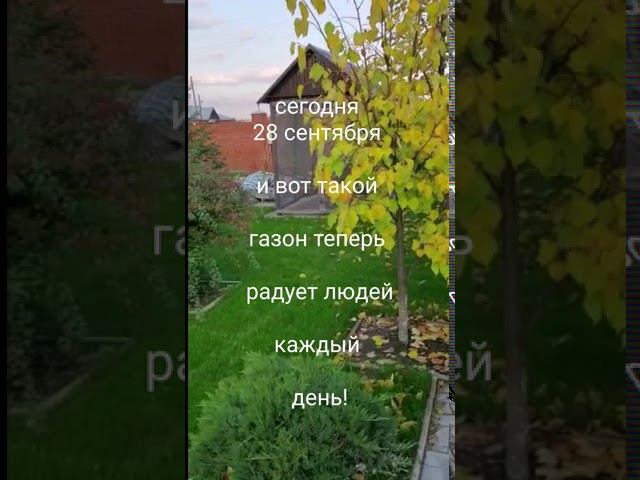 гидропосев газона октября 2020 г. Омск