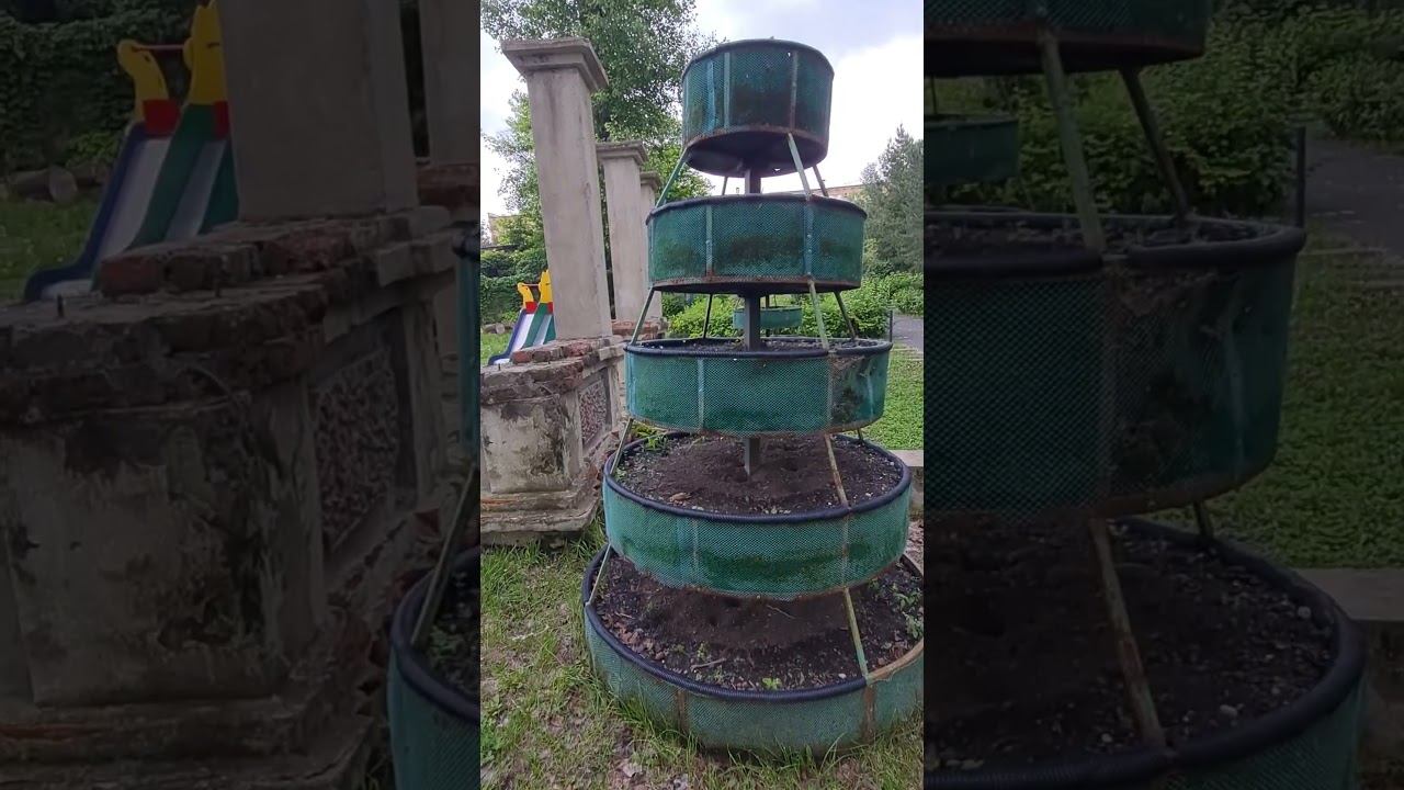 г.Спасск-Дальний, 15.06.2024