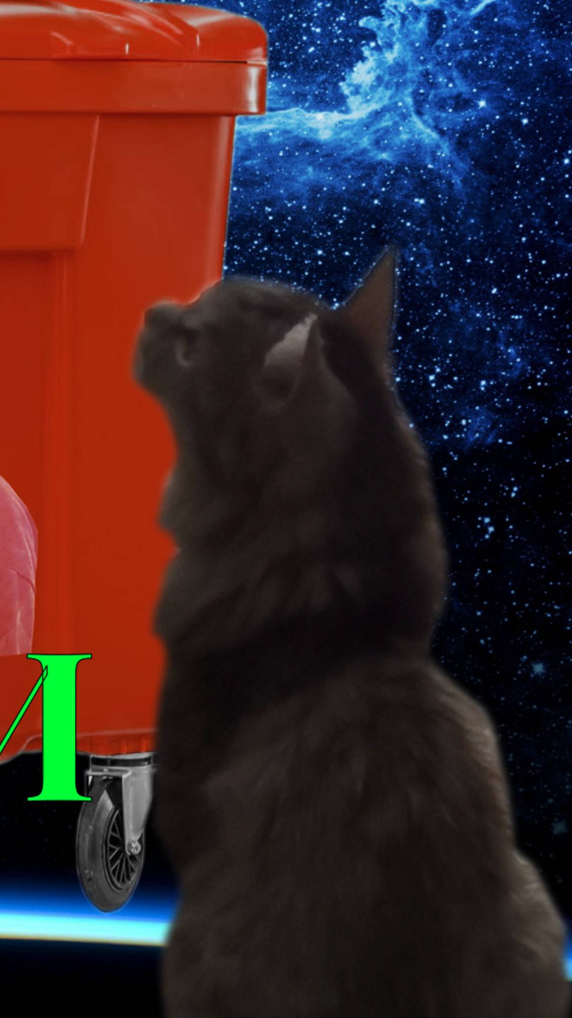 ТАЙНА ИЗ МУСОРКИ: «История, в которую я сам не поверил» #тайна #ретро #мусорка