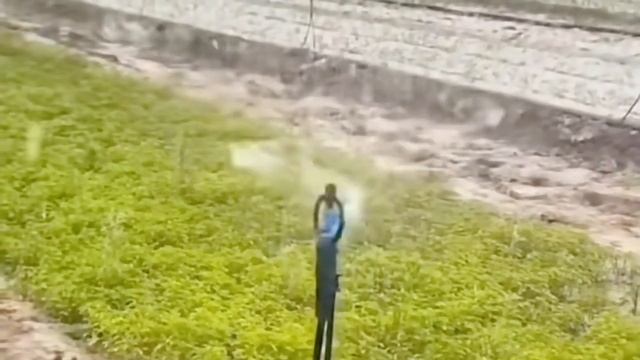 Сплинклер поливочный.